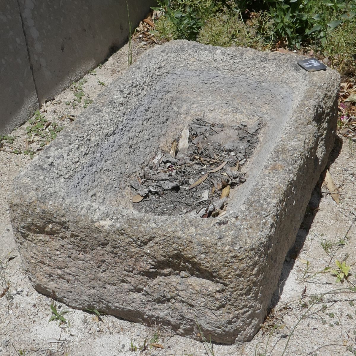 Charming little rectangular basin - old stone basin - planter.